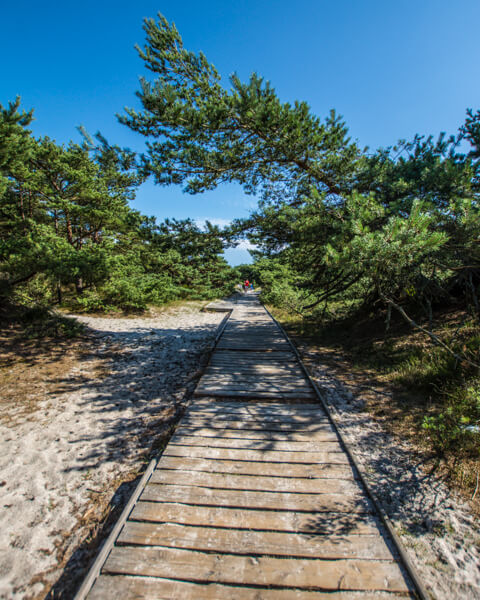 Dueodde Strand. Læs på Rundt i Danmark om stranden på syd Bornholm
