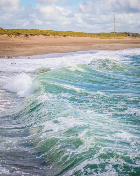 Høfder, diger & bunker ved Agger Strand