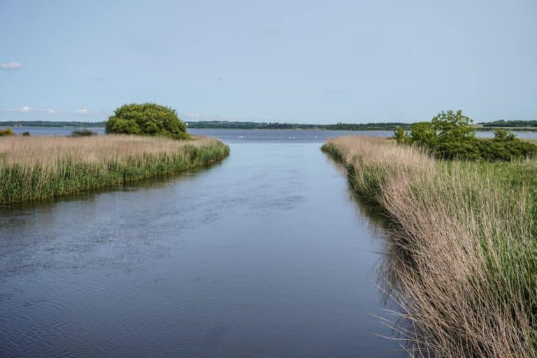 Skive Fjord