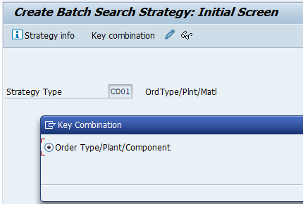 How to Configure Batch Search Strategies in SAP