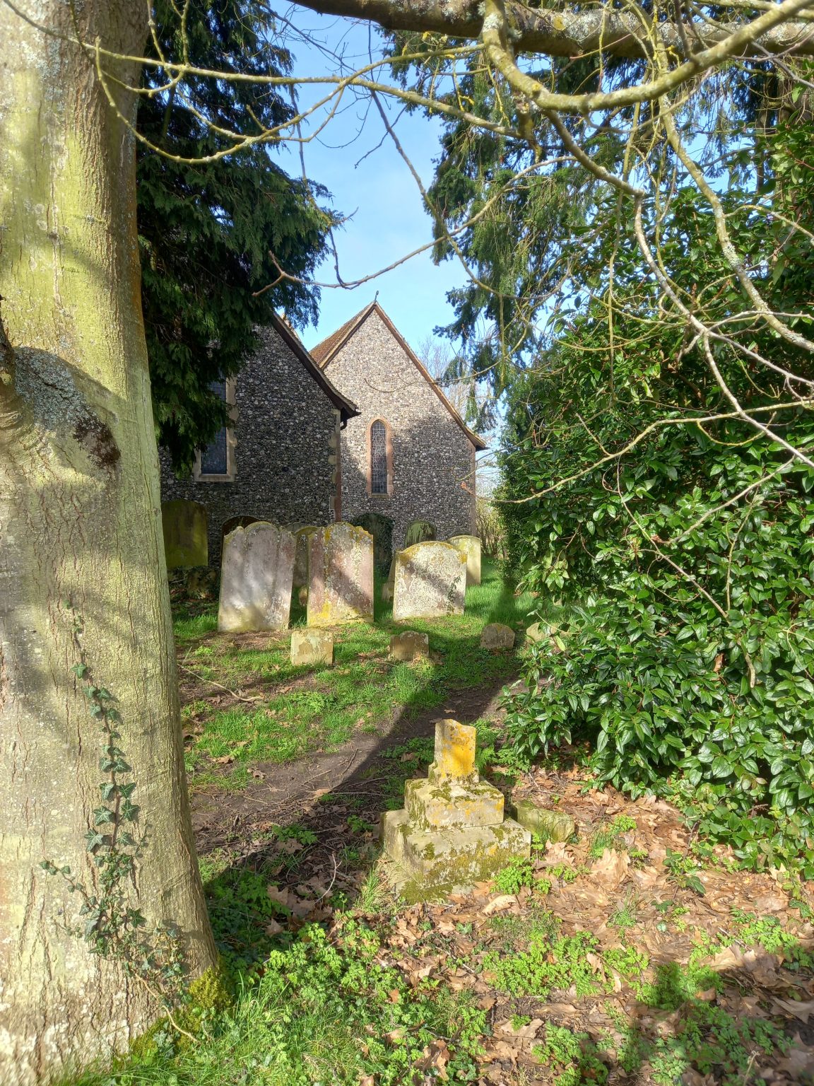 Heritage Under Threat – Save the Blean