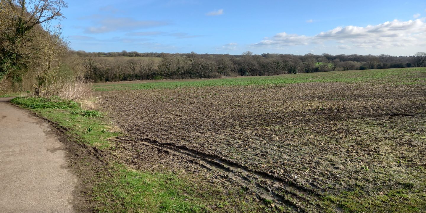 Save the Blean – No to 2,000 houses