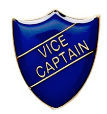 Custom School Pins - schoolprintedproducts.com