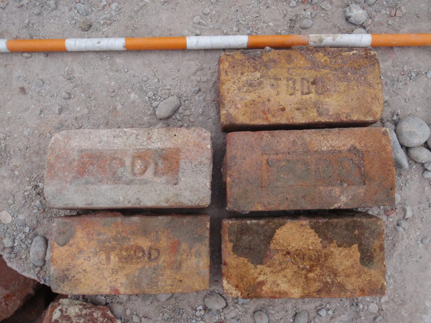 Thomas Todd – Kilchattan, Isle of Bute, Scotland to New Zealand ...