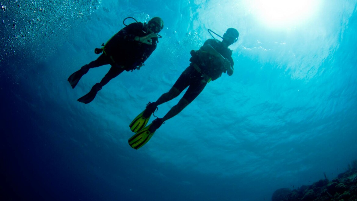 Discover Scuba Diving (Intro. dive) – Scuba Do Bonaire