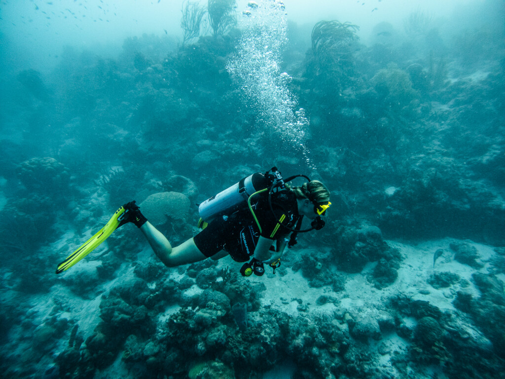 Padi Drift Diver – Scuba Do Bonaire