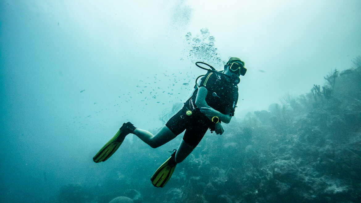 1000 Steps – Scuba Do Bonaire