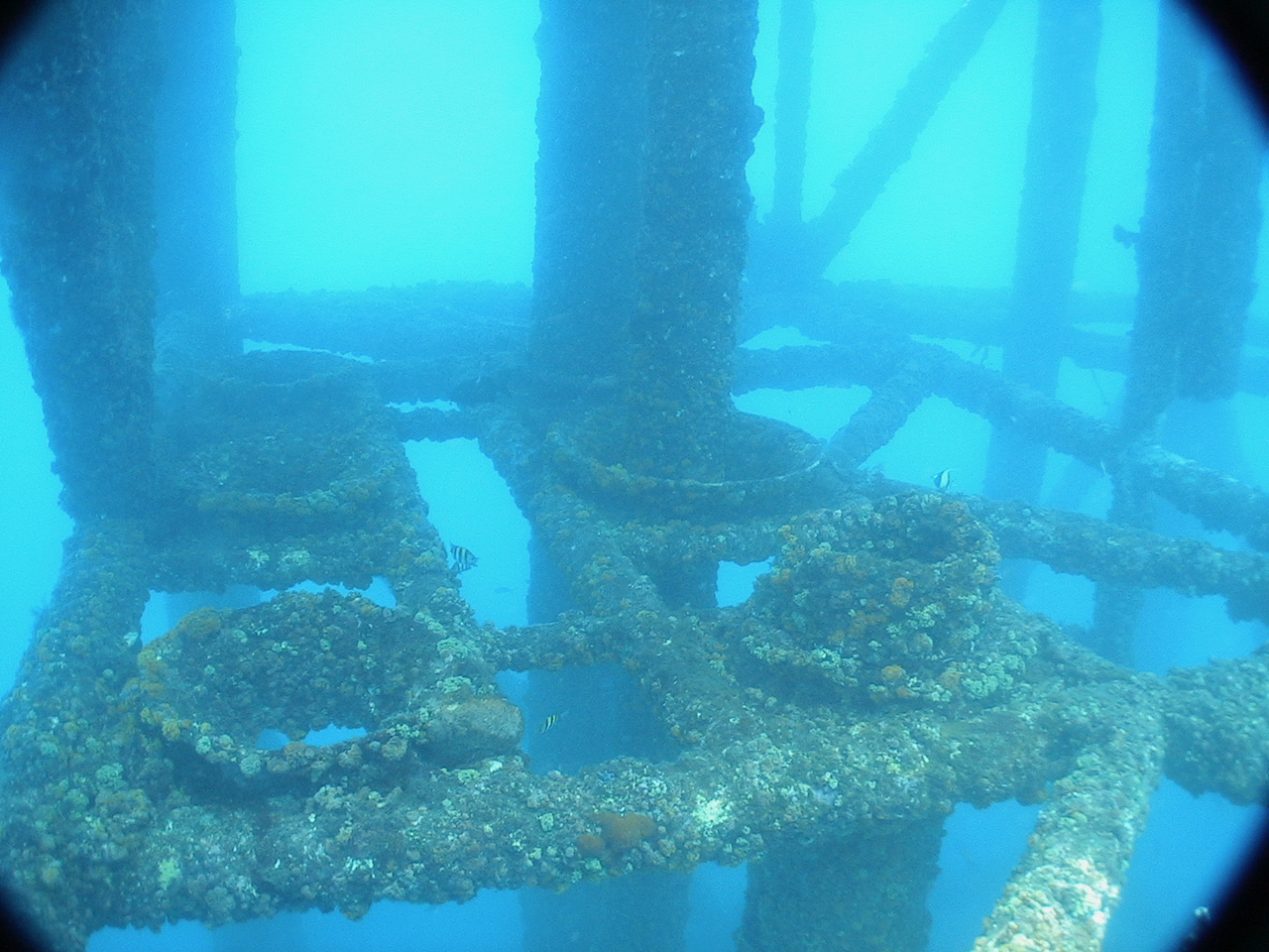 About - Seatek Energy And Marine Services WLL