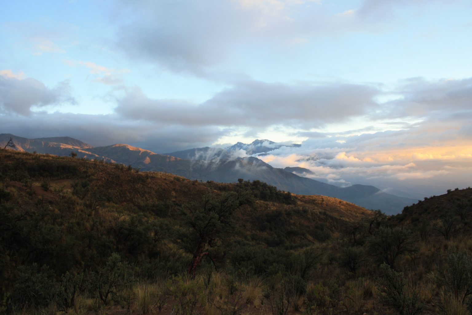 Tunari National Park: wild life on top of the world – Seeking wilderness