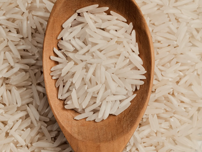 Newlong Industrial (NLI) NP-8, NP-8B Portable Bag Closer Machine for ...