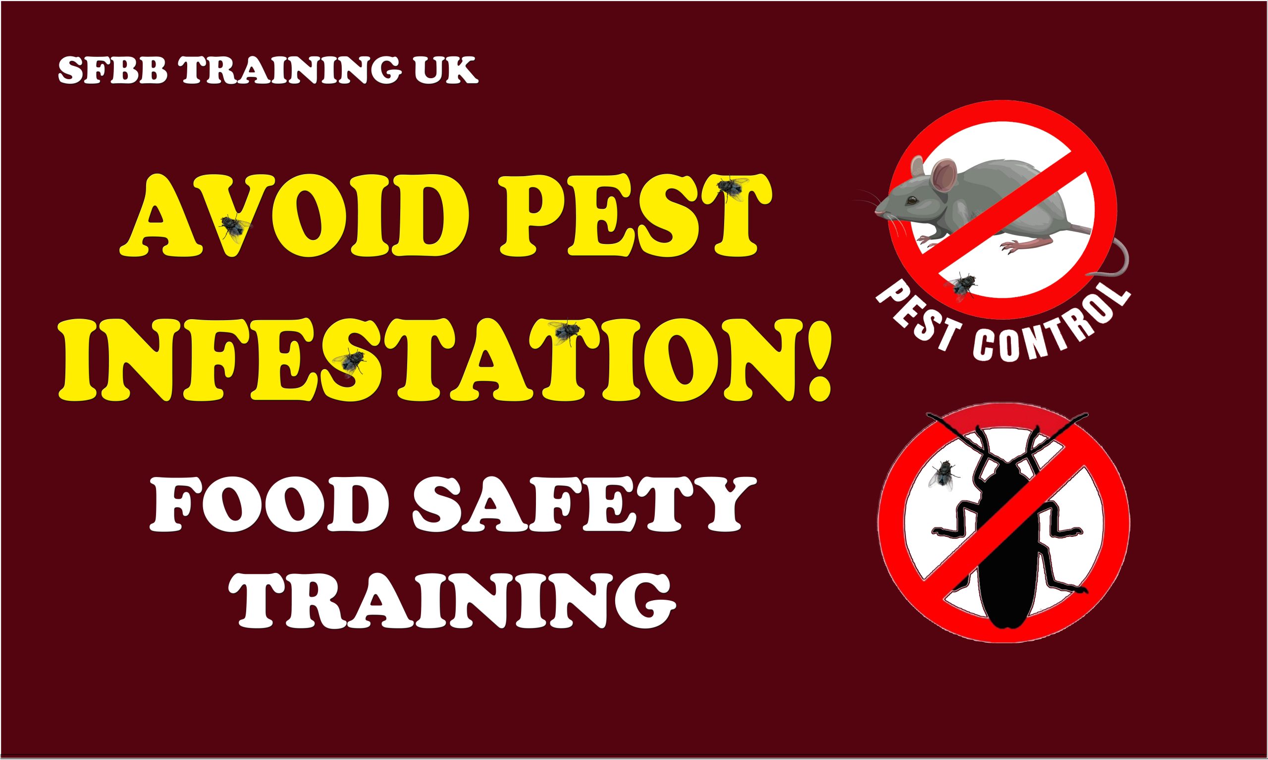 Food Hygiene Training Avoid Pests SFBB Training UK - SFBB TRAINING