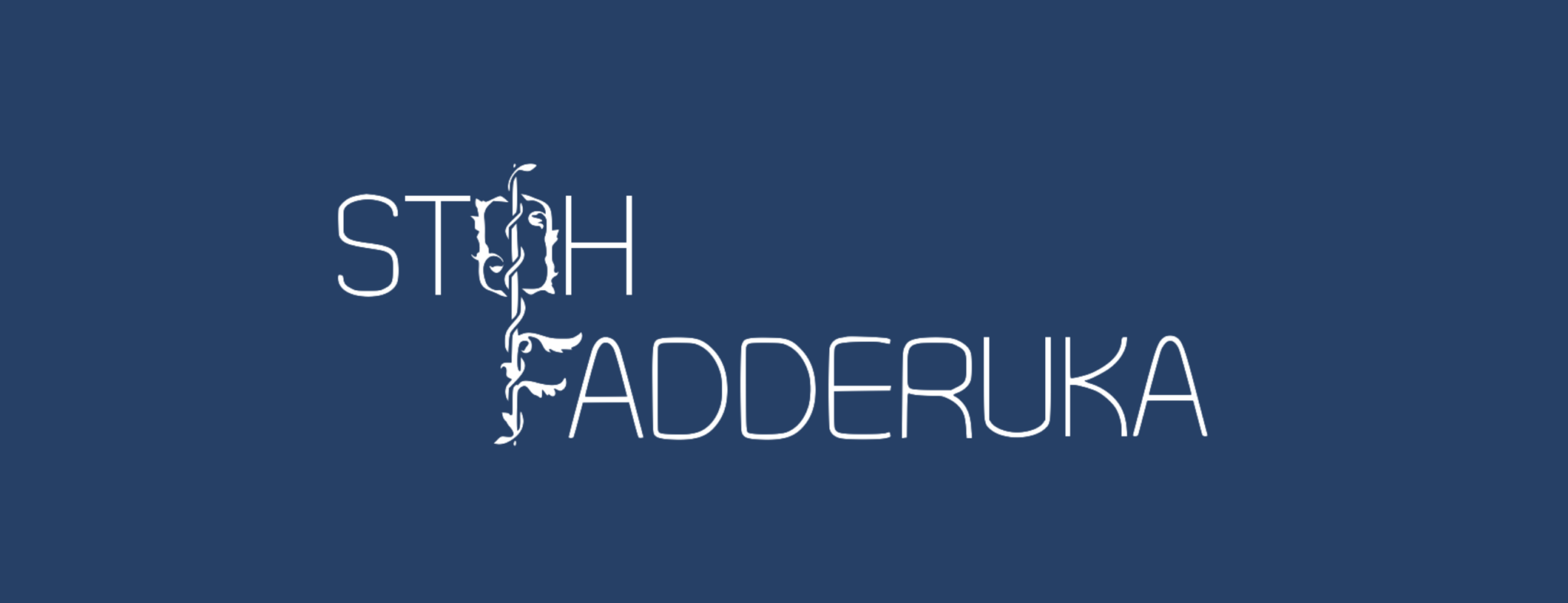 Fadderuka 2025 – STØH
