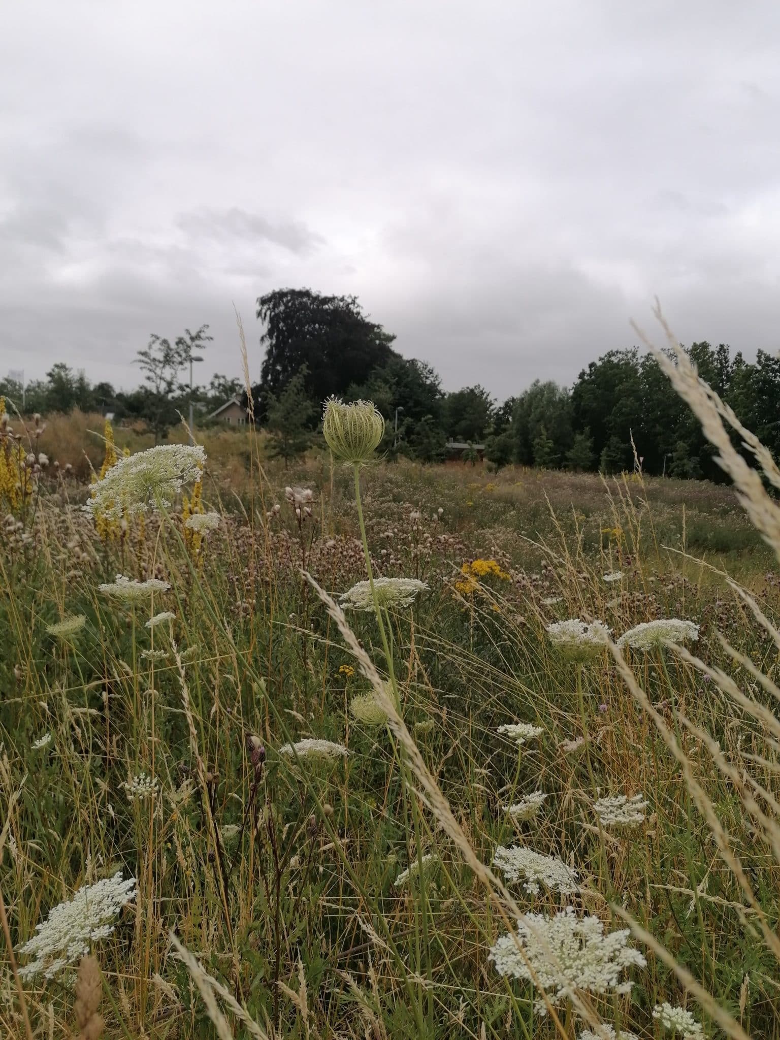 Haiku og digte – Fortællinger og digte fra hjerte og sjæl