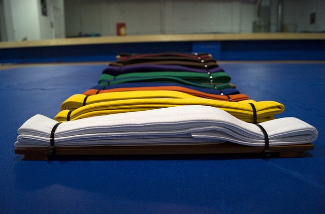 Kategori: Gradering | Skedsmo Karateklubb