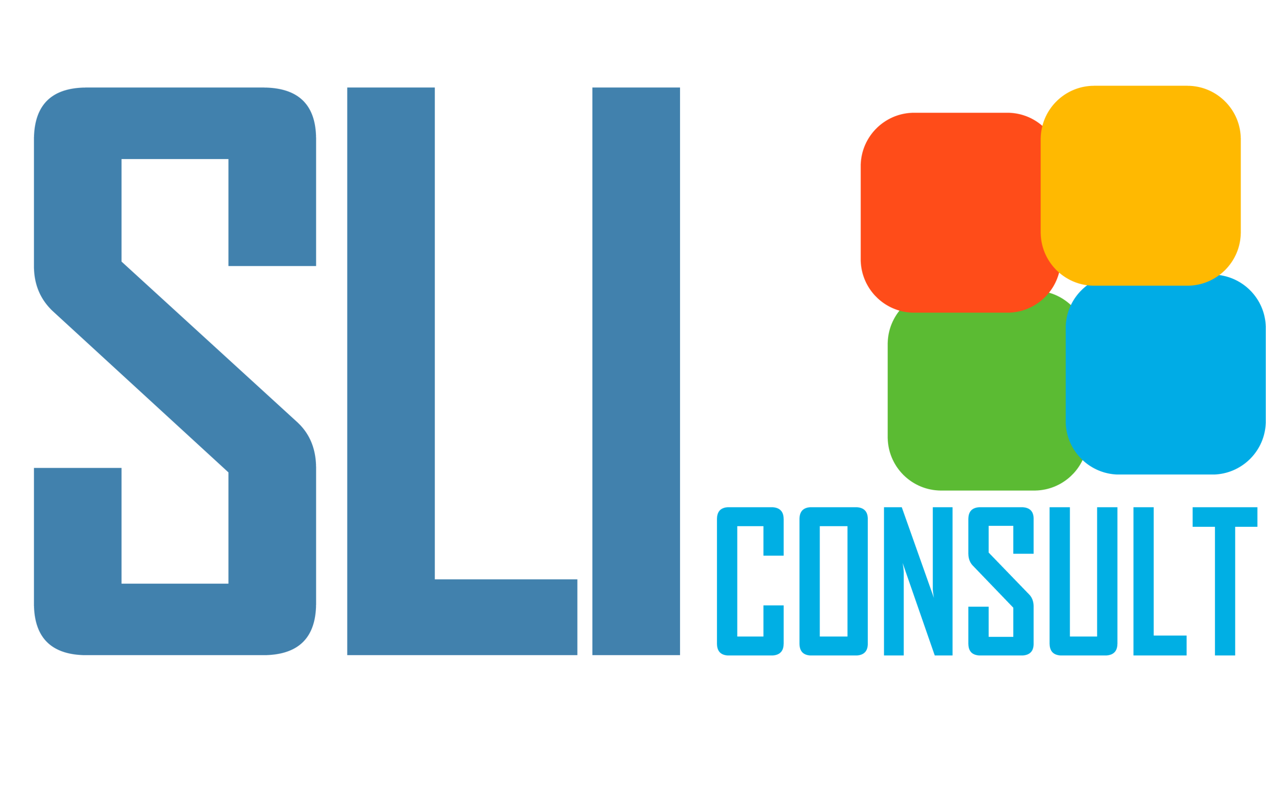 Project Management – SLI Consult