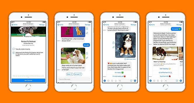 Perfect Fit launches pet chatbot - Scottish Local Retailer