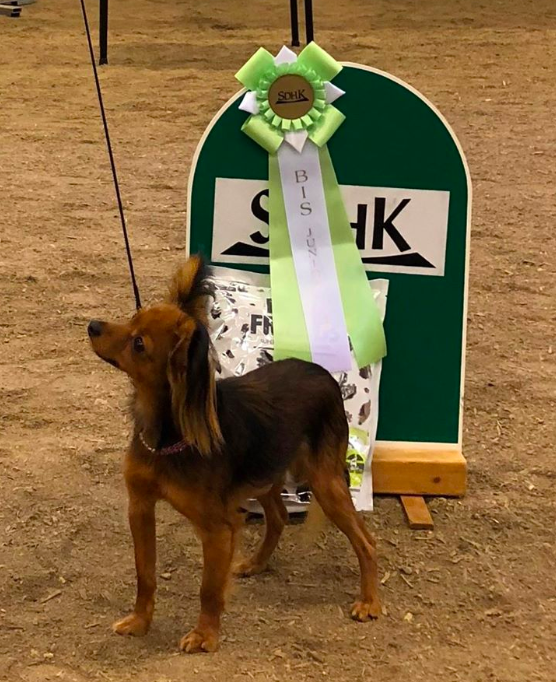 Finalplaceringar – SRTK