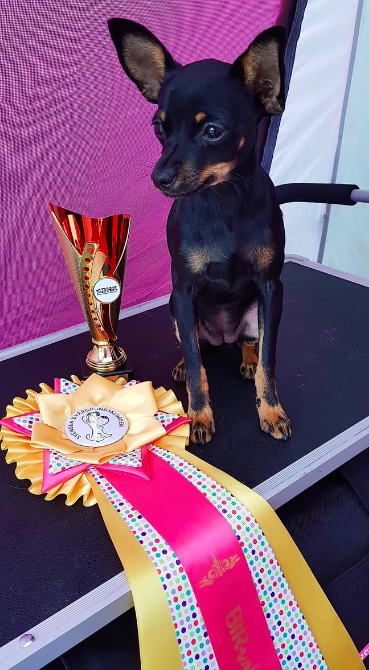 Finalplaceringar – SRTK