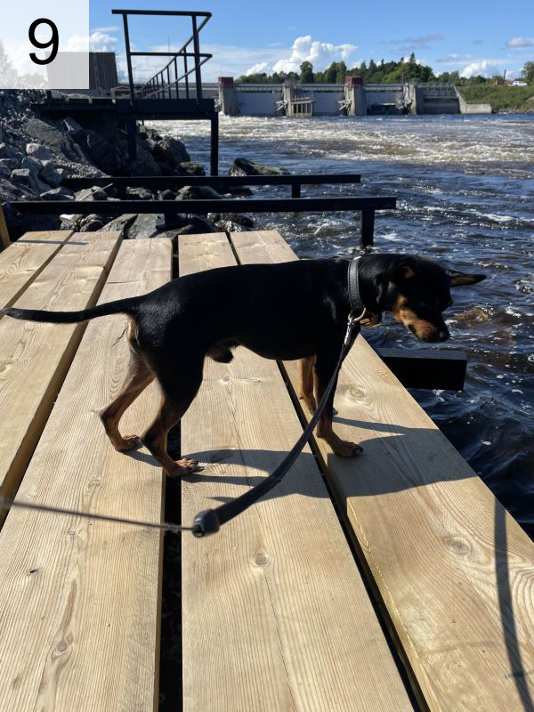 Sommartävling 2023 – SRTK