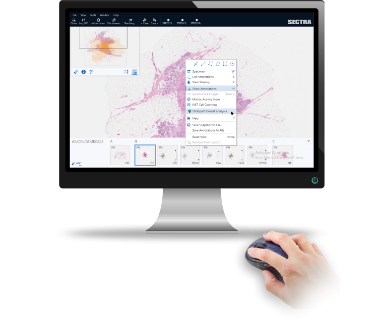 The Swedish deep-tech company Stratipath announces its integration with ...