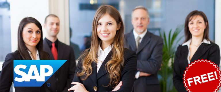 Agile Sap Implementation Projects