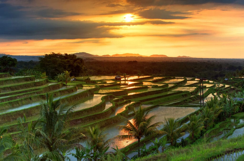 A complete guide to Jatiluwih Rice Terraces in Bali (2024)