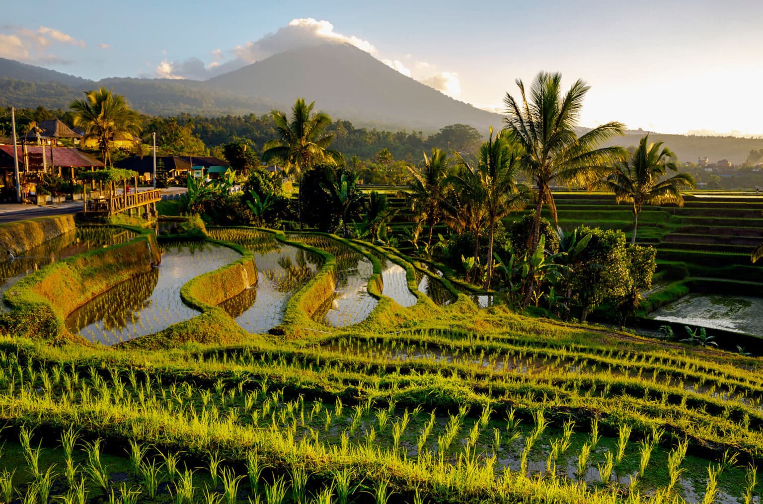 33 epic things to do in Bali: The Ultimate Bali Bucket List (2024)