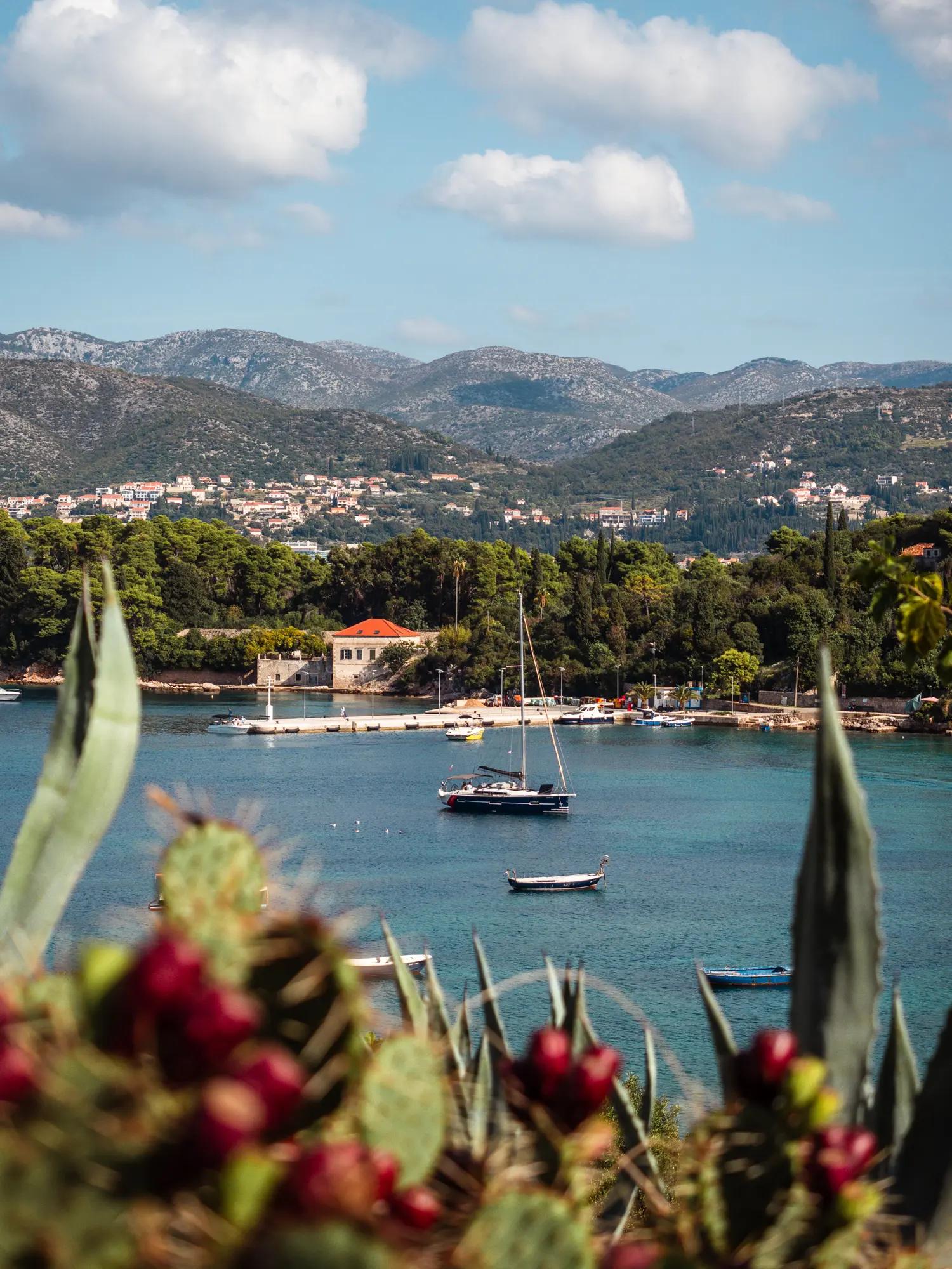 Visiting the Elaphiti Islands in Dubrovnik: Was it worth it? (2025)