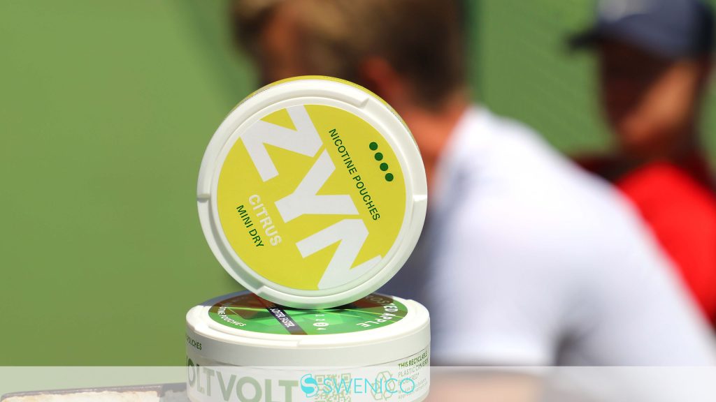Best Nicotine Pouches with Citrus Flavor - Swenico