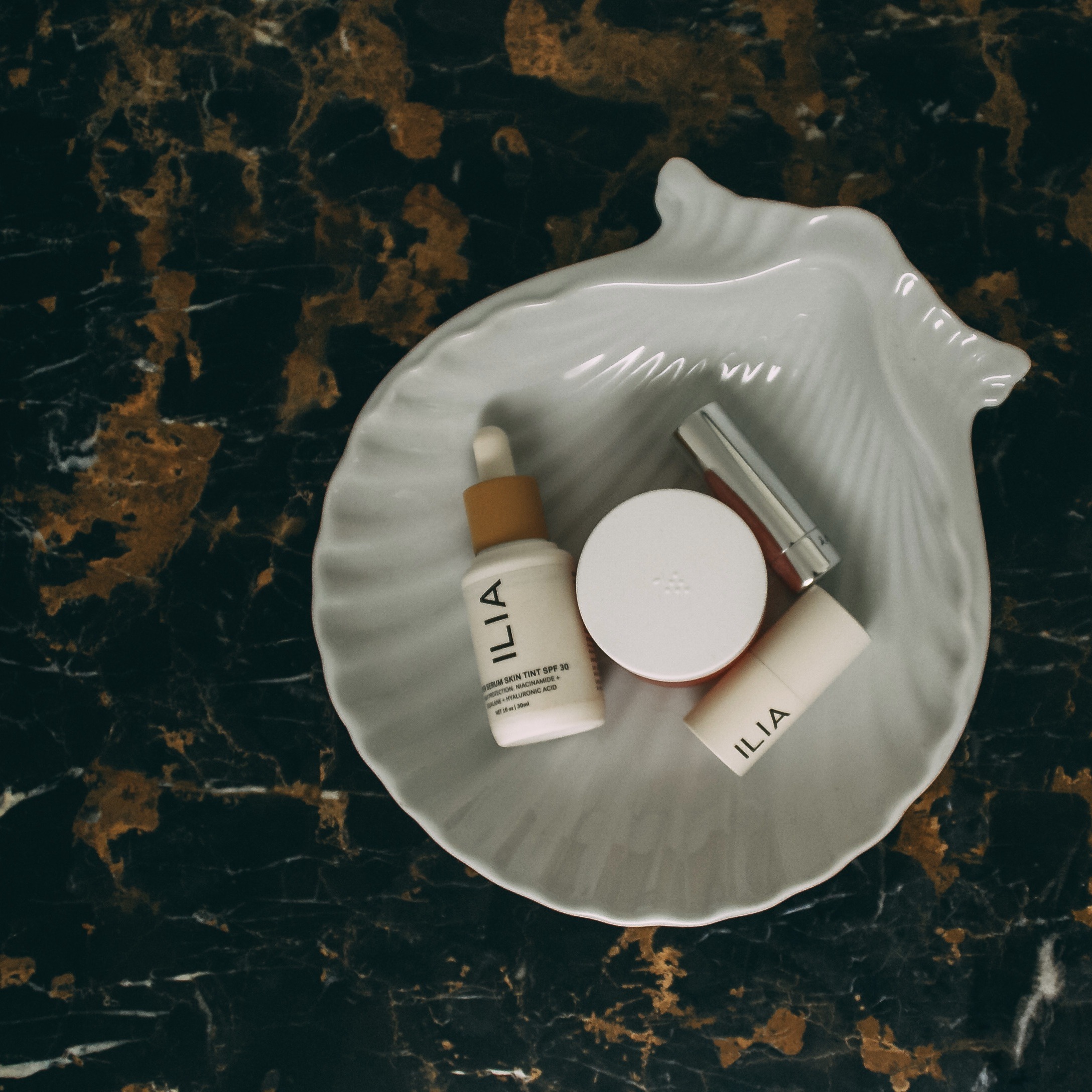 Massive sea shell dish - Tafelgeluk