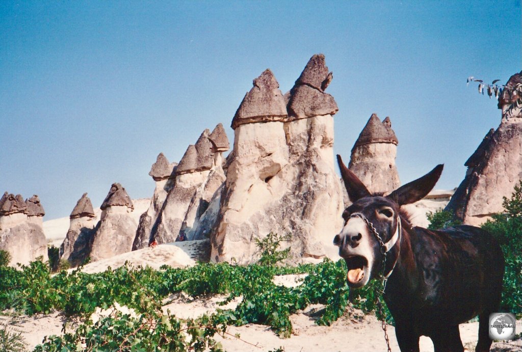 UNESCO World Heritage Sites Quiz - taste2travel