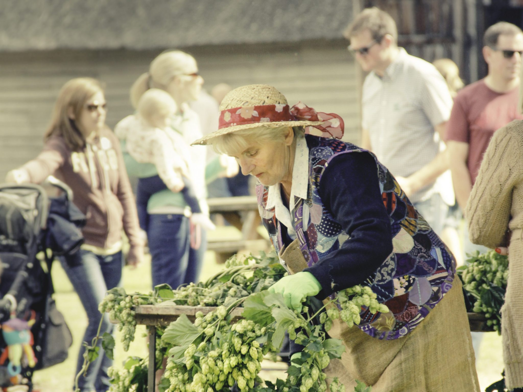 Cheers to Family Fun at Kent Life’s Hops ‘n’ Harvest Festival – Taste ...