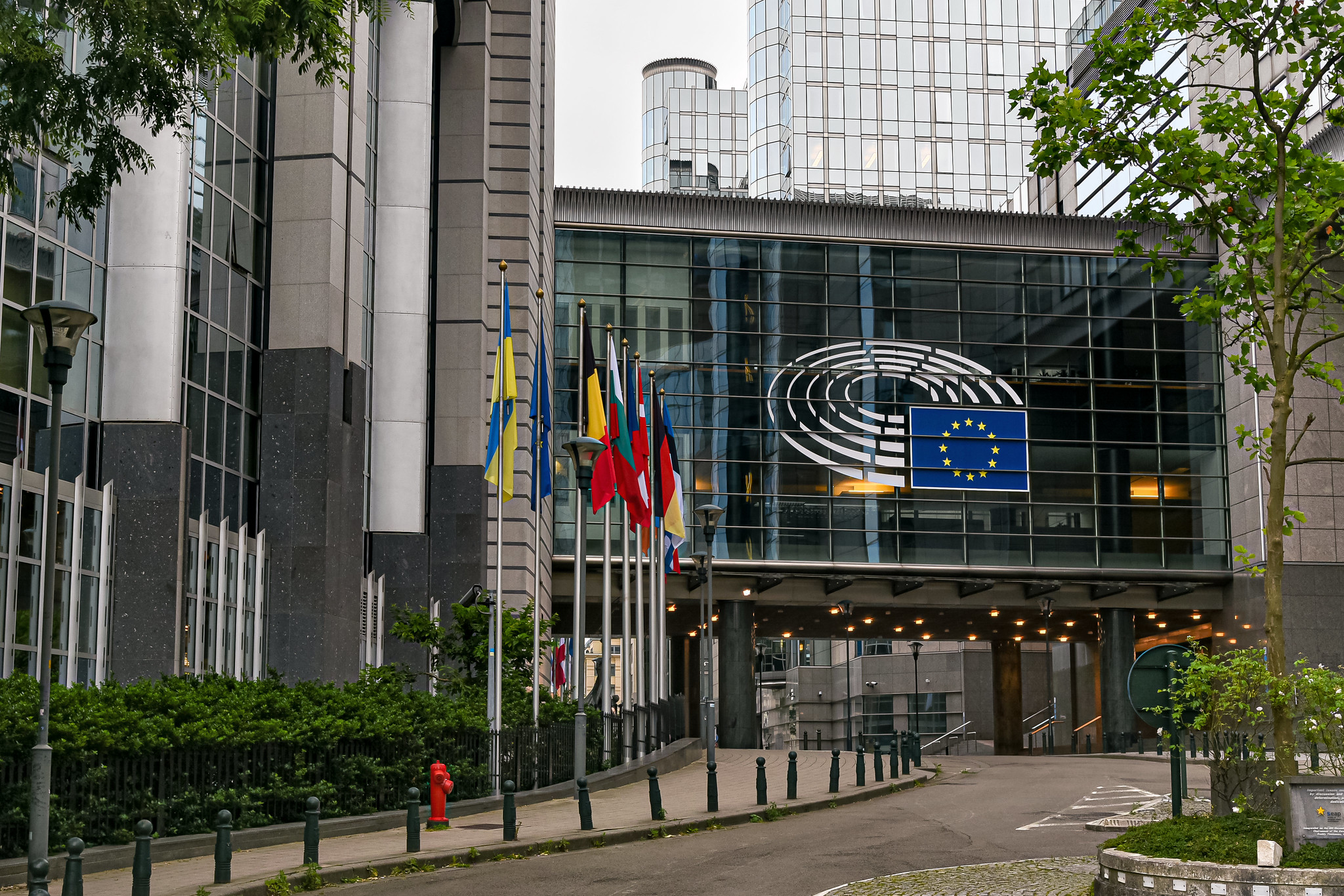 EUDR delayed, but not gutted - Trade for Development Centre EUDR delayed, but not gutted - Trade for Development Centre