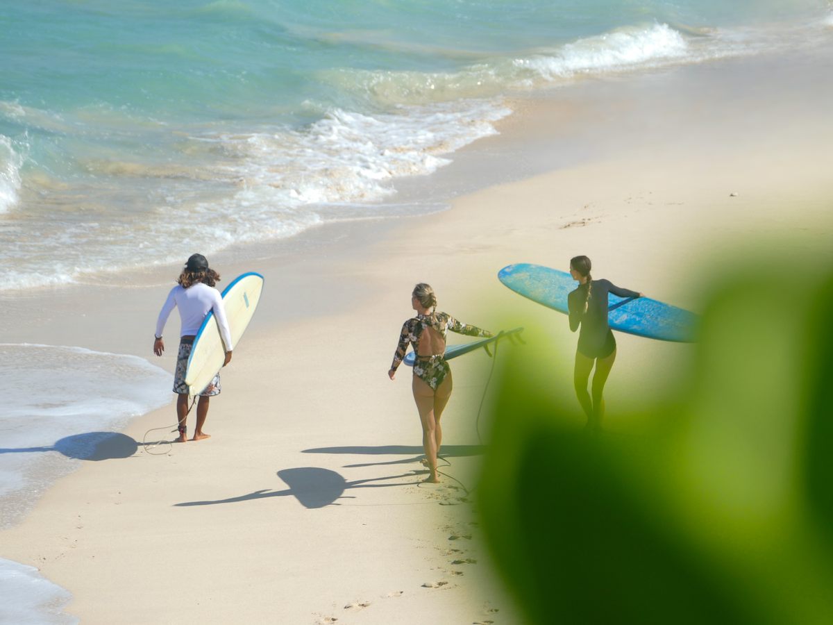 Dreamland Beach surf spot guide for beginners