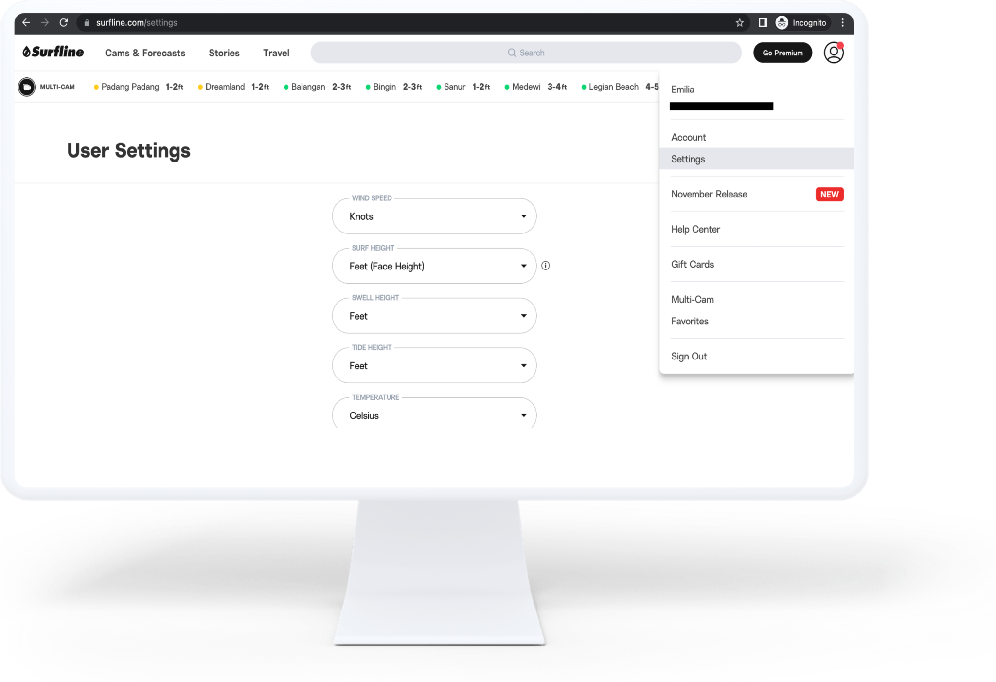 How to read a surf forecast on Surfline for beginners