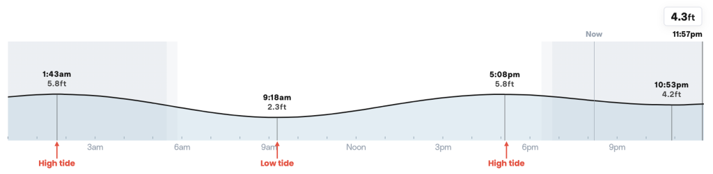 How to read a surf forecast on Surfline for beginners