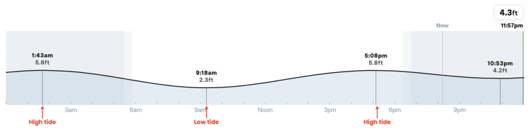 How to read a surf forecast on Surfline for beginners