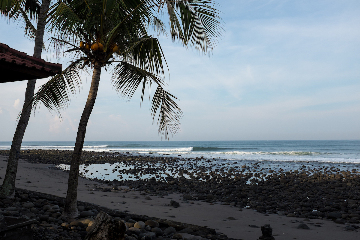 A complete guide to surfing for beginners - The Beginner Surfer
