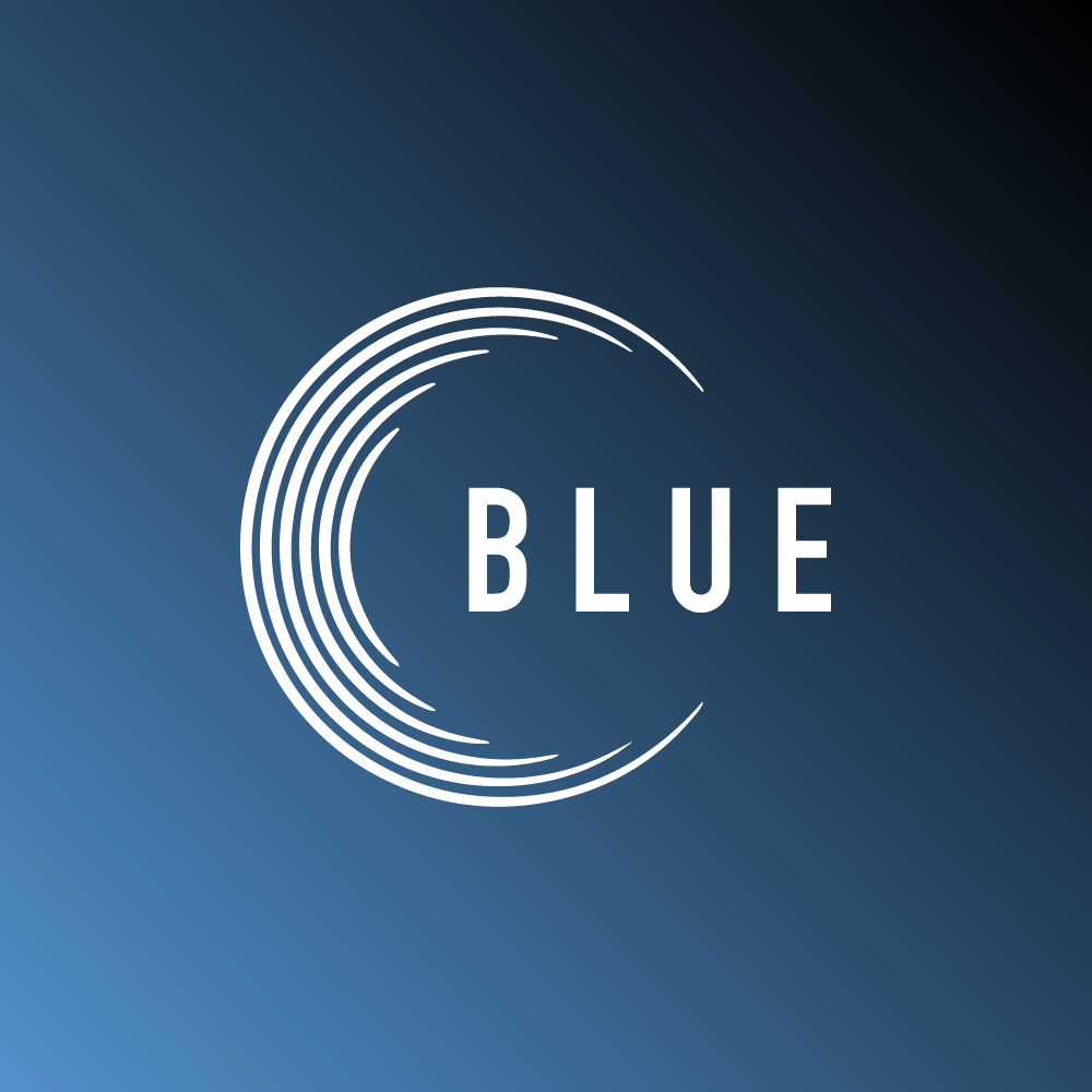 Careers — The Blue Agency | Creativity • Professionalism • Execution