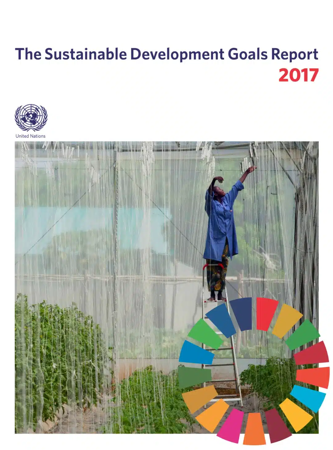 The Sustainable Development Goals Report - thefuture