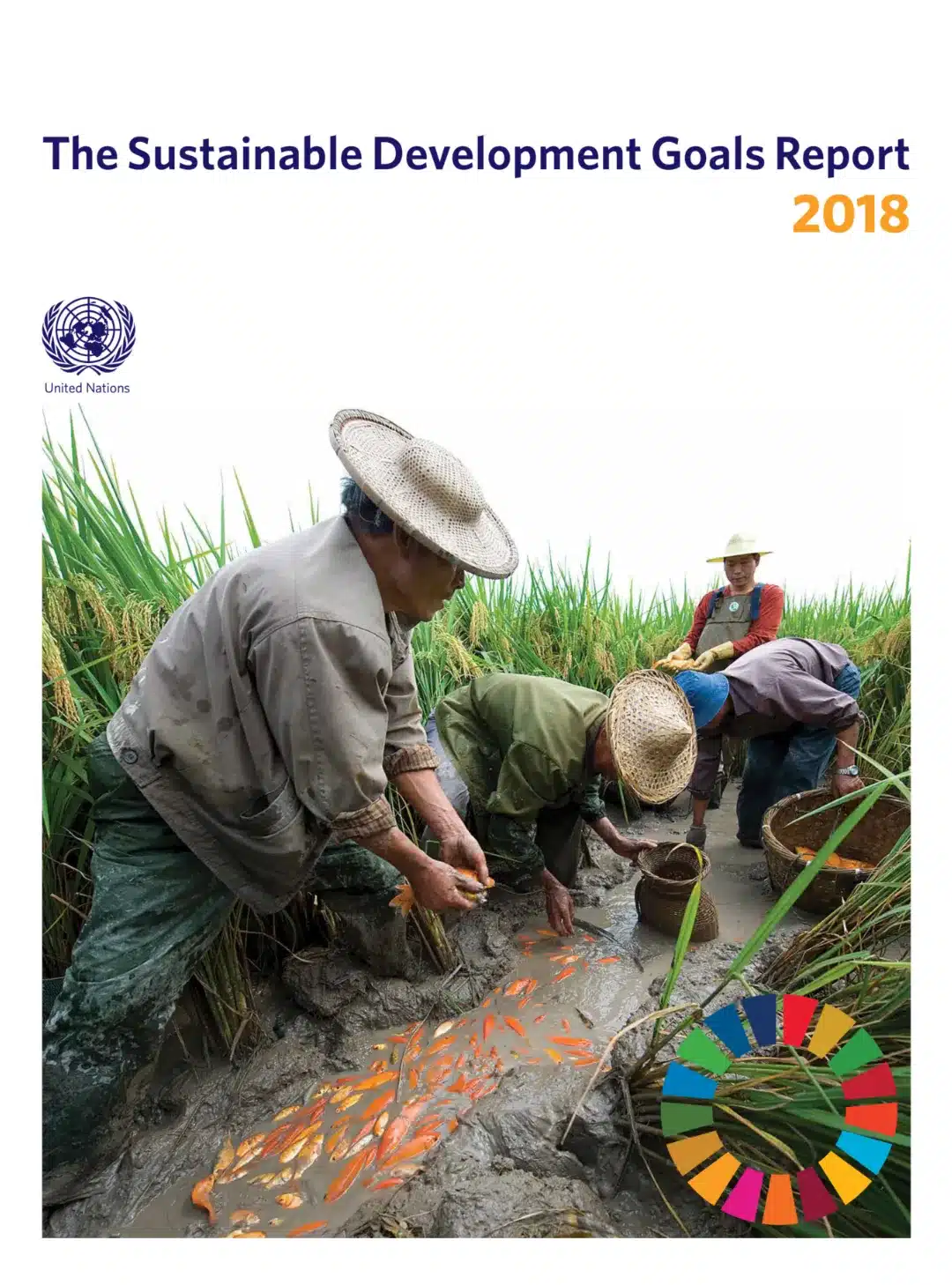 The Sustainable Development Goals Report - thefuture