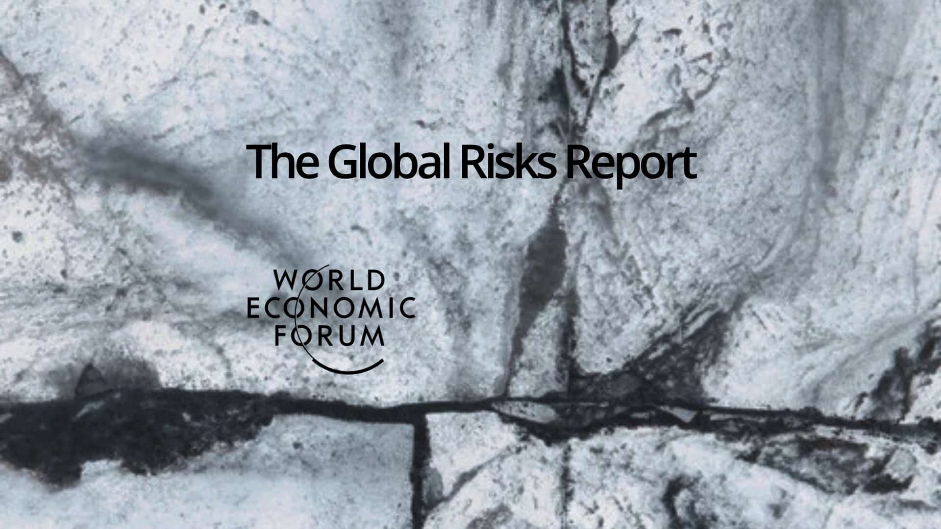 The Global Risks Report - thefuture