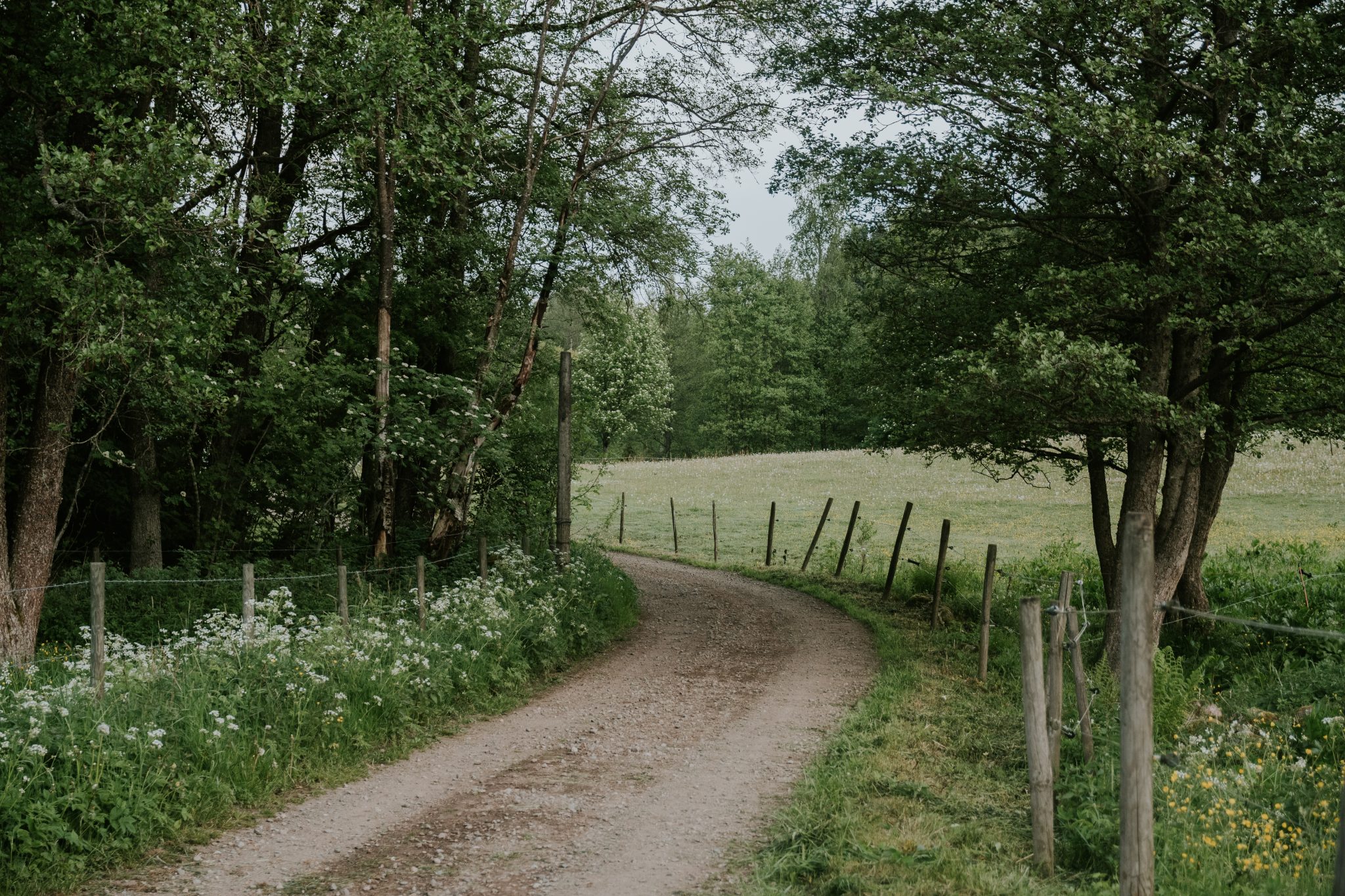 June - The Nordic Kitchen