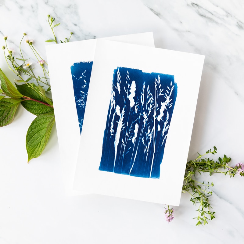 Cyanotype Printing Paper (A4)