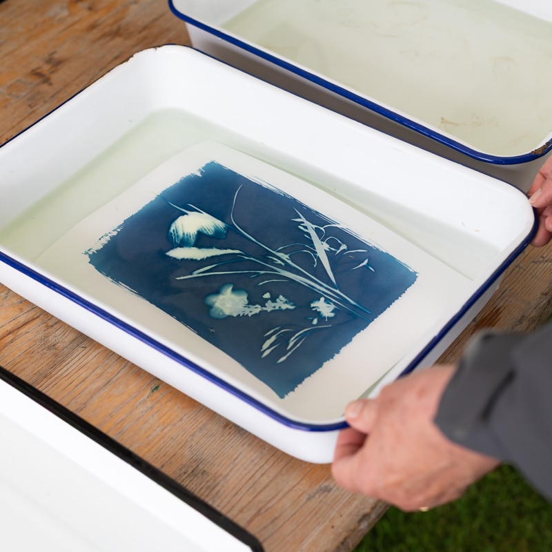 Cyanotype Printing Paper (A4) – The Wild Darkroom