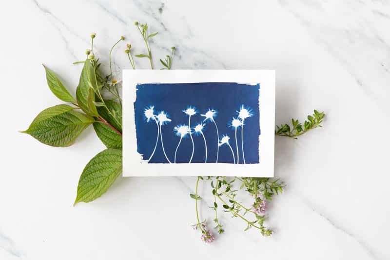 A5 Cyanotype Kit