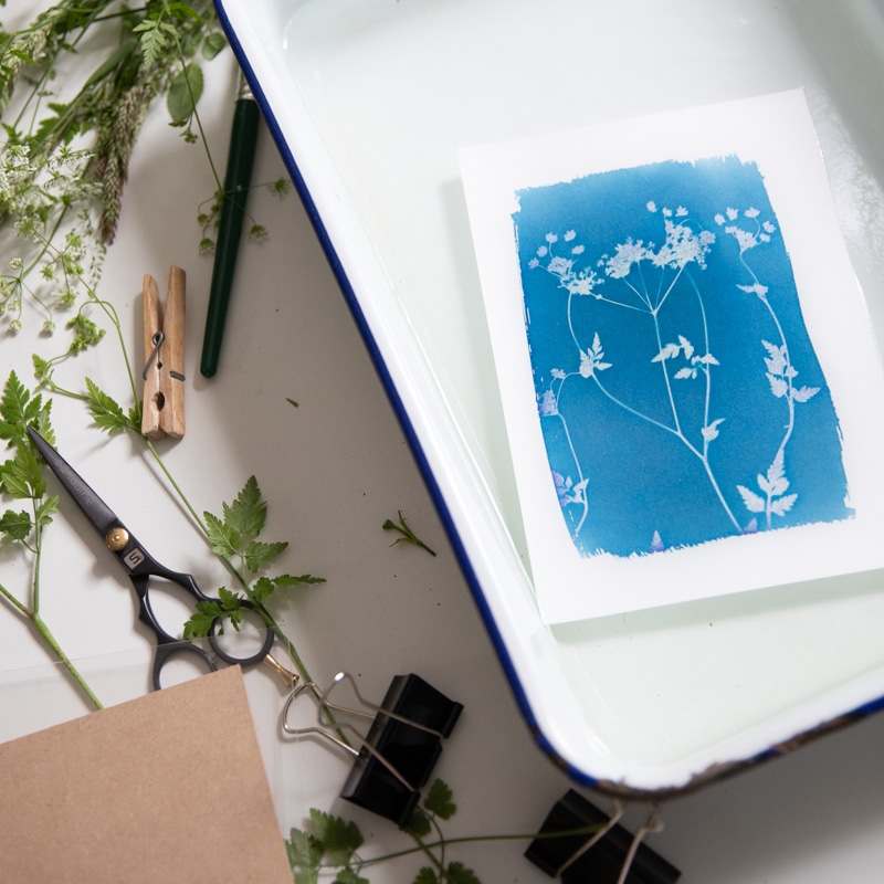 Cyanotype Paper (A6)