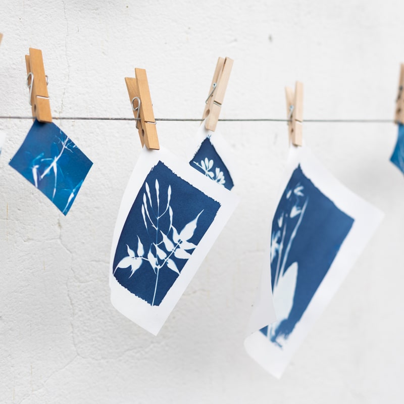 A5 Cyanotype Paper – The Wild Darkroom