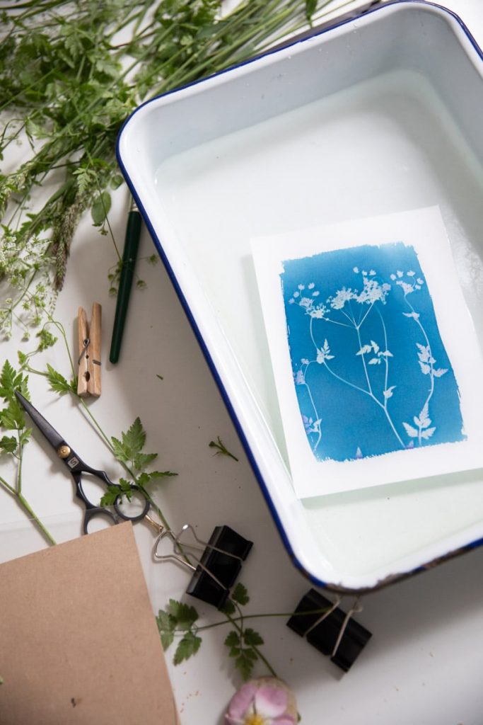 Cyanotype Printing Mistakes