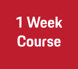 Vehicle Wrapping Courses - The Wrap Design Training Academy
